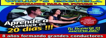 WILLY´S ESCUELA